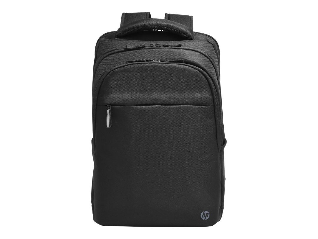 HP Professional 17.3